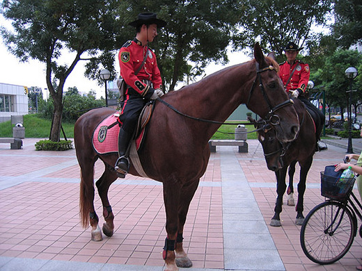 巧遇台北縣騎警隊 - 假面超人 的網誌 - udn部落格