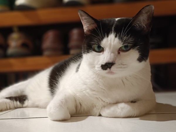 關鍵成功因素〈Key success factors〉策略管理的思維-詹翔霖副教授 - 詹翔霖副教授 - udn部落格