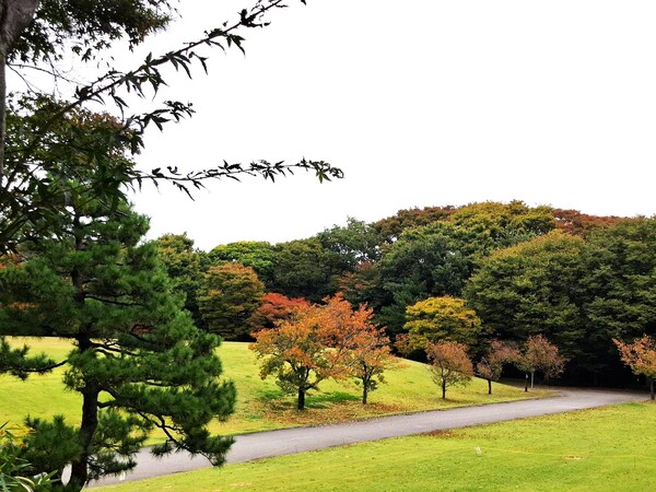 中日本秋色 - 出岫閒雲的部落格 - udn部落格