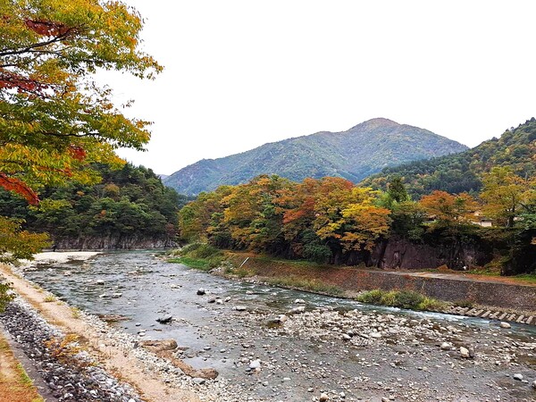 中日本秋色 - 出岫閒雲的部落格 - udn部落格