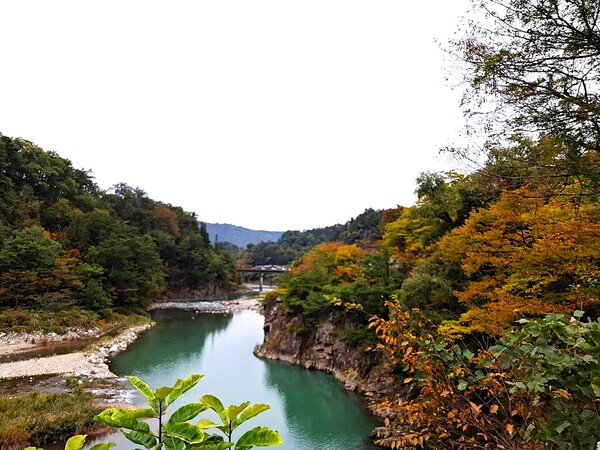 中日本秋色： - 出岫閒雲的部落格 - udn部落格