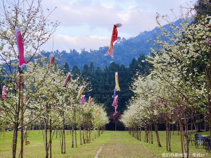 2025九族文化村 - 愛的移動城堡 ~ 愛就一起快樂go ! - udn相簿