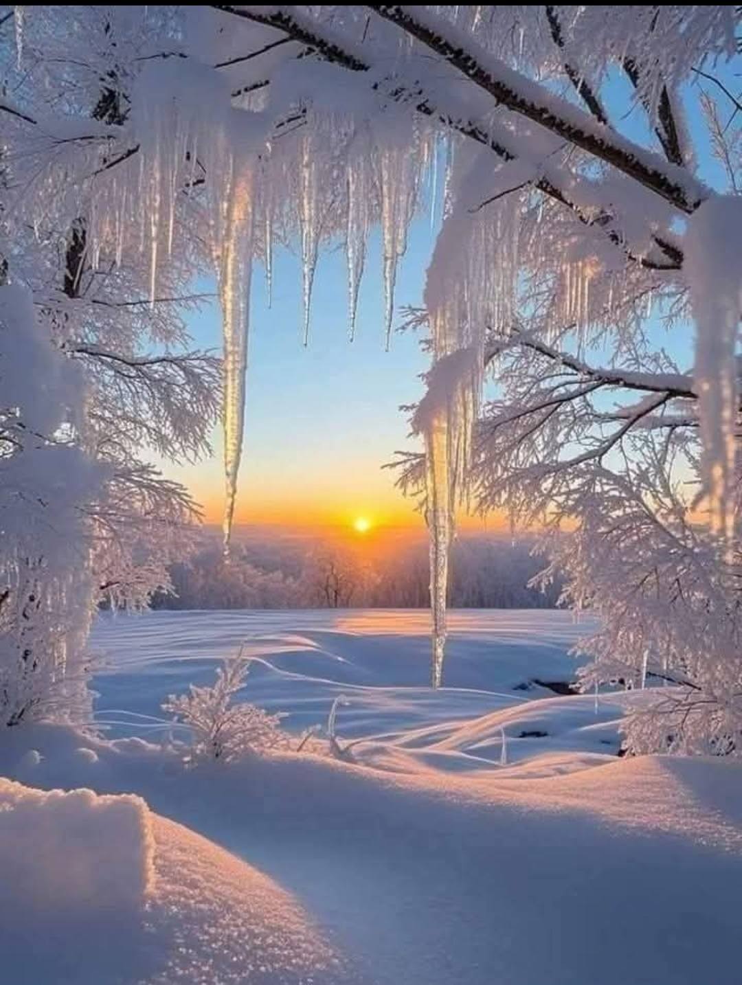 初冬的景象.03. - Red Square 123的部落格 - udn部落格