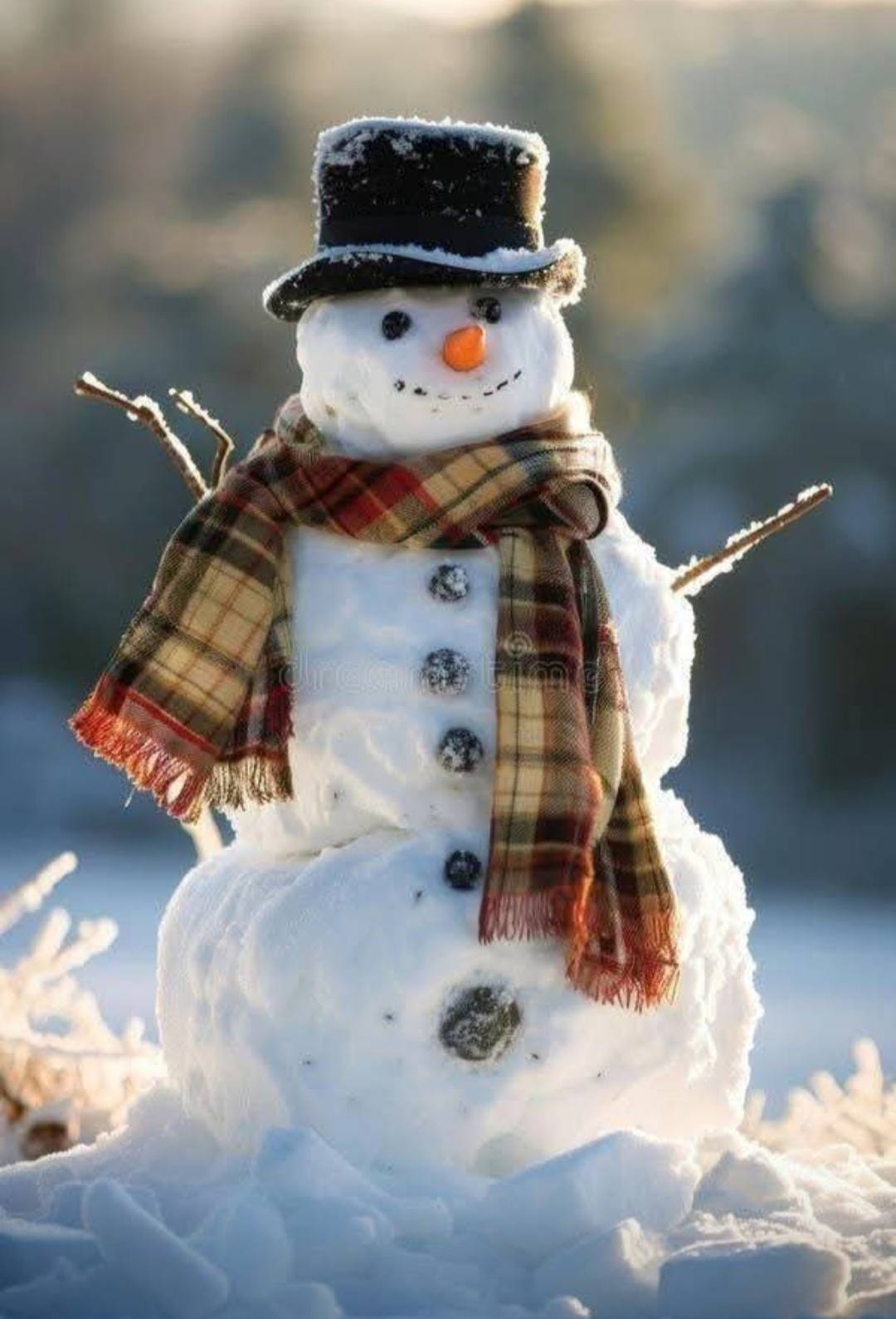 初冬的景象.03. - Red Square 123的部落格 - udn部落格