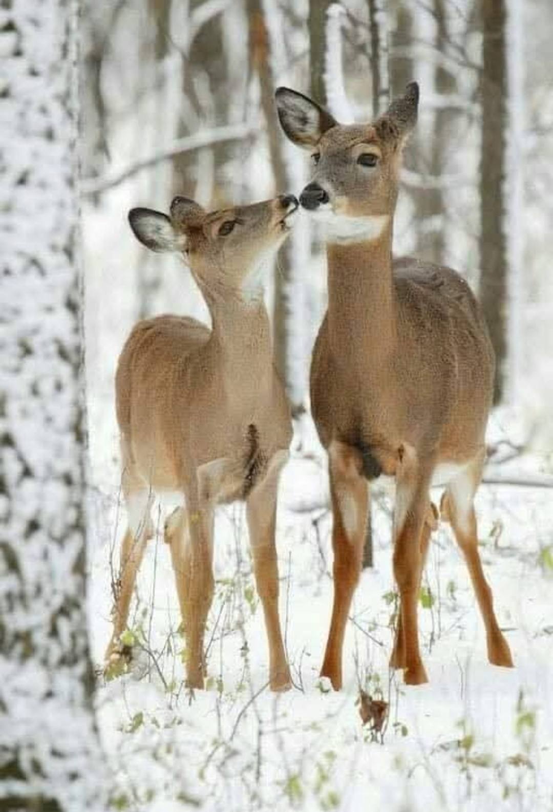 初冬的景象.03. - Red Square 123的部落格 - udn部落格