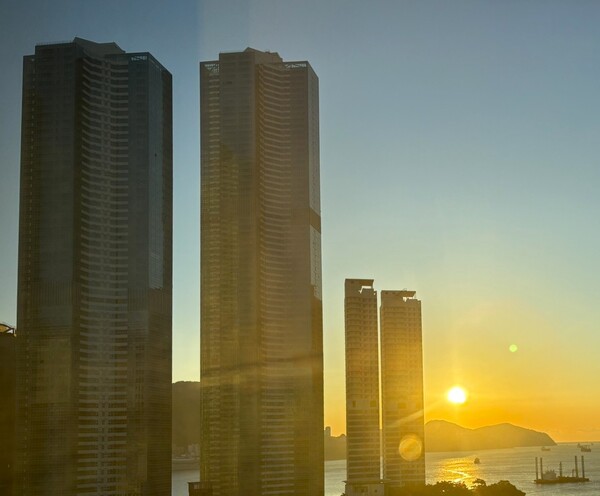 黃金叢林 - 城市小農 - udn部落格