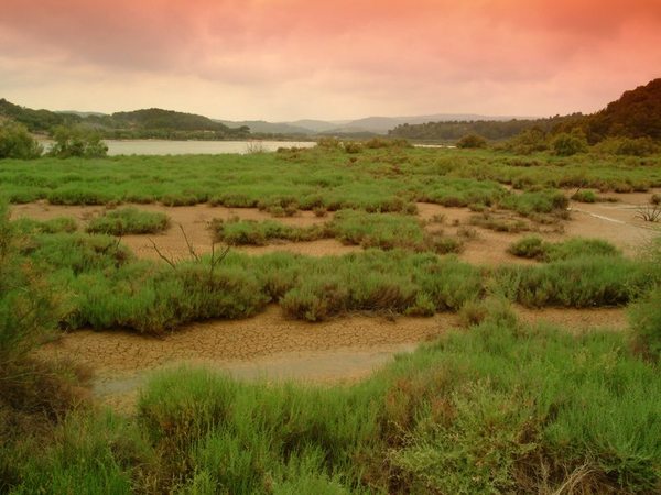 班人口元和雅醫美診所 - 花蓮民宿-花見幸福民宿 - udn部落格