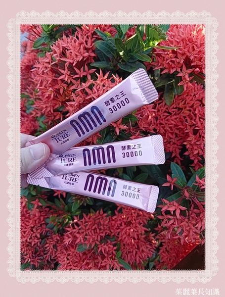 【大漢酵素】NMN酵素之王掌握青春密碼，讓青春活力再現！ - 茱麗葉長知識 - udn部落格