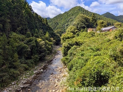 必須在當地才能嚐到的真味—香魚 - chia chia在旅途中遇見日常 - udn部落格