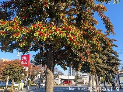 如果那是我的爸爸呢？ - chia chia在旅途中遇見日常 - udn部落格