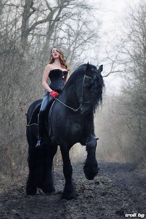 美女與馬 - HSR123 的部落格 - udn部落格