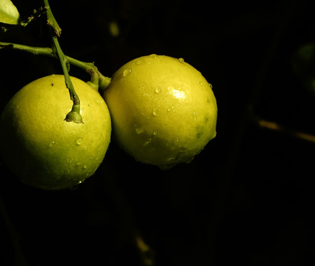 璀璨之畦 - 。 - udn部落格