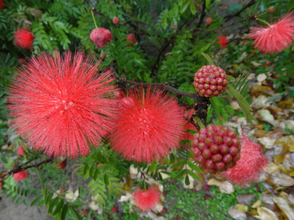 到戶外走走吧 - leaderstudio 的部落格 - udn部落格