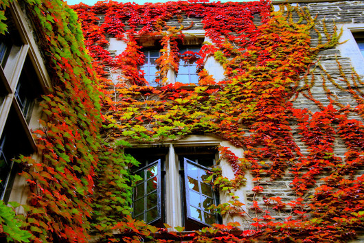 感恩與計較的故事 - leaderstudio 的部落格 - udn部落格