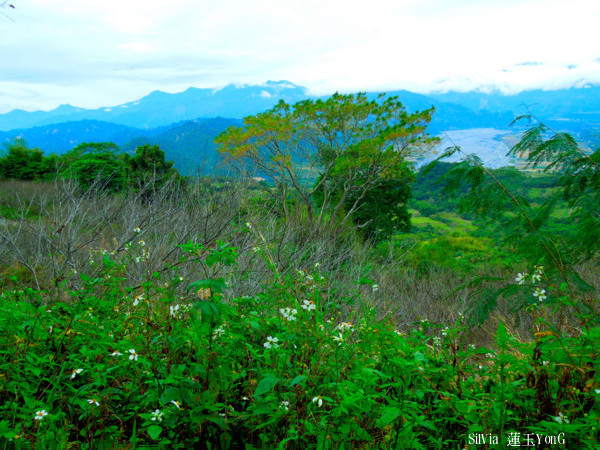 20171219 台東鸞山部落(森林博物館) - 愛的家園 - udn部落格