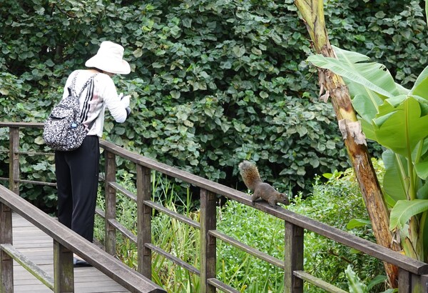 《錯失》 - Small Miracles 小小奇蹟 - udn部落格