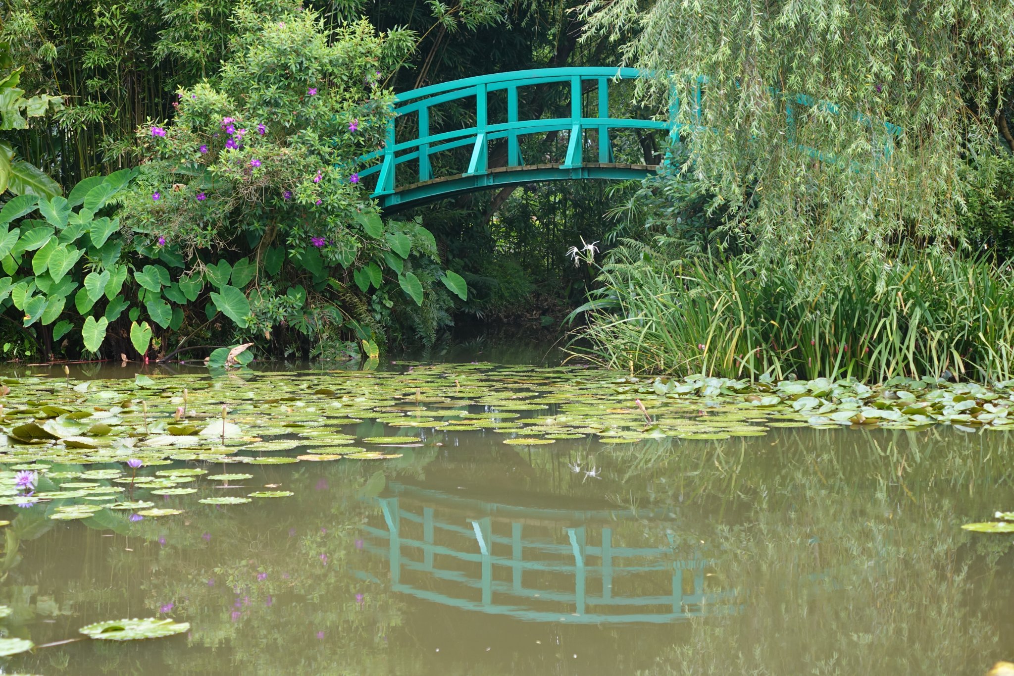 《驟雨》 - Small Miracles 小小奇蹟 - udn部落格