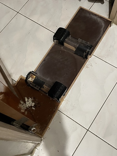 鬥鼠日記(4) - snflwrhy的大雜燴 隨意PO - udn部落格